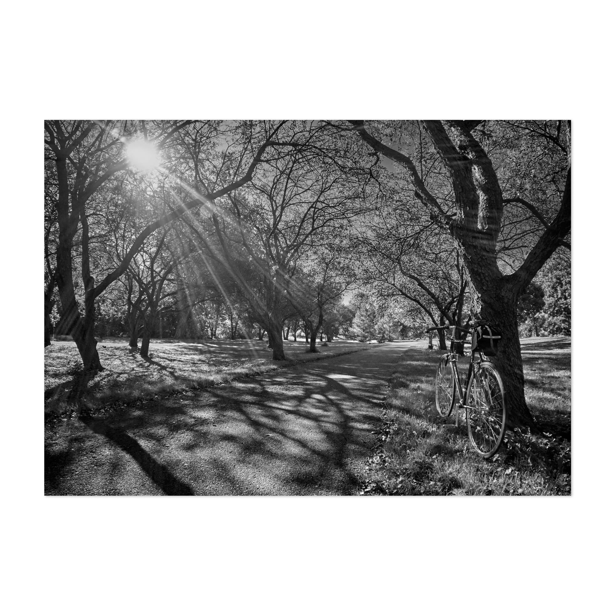 Cycling In Minneapolis - Minneapolis Minnesota Photography Black and ...