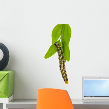 Little Goat Wall Decal by Wallmonkeys Peel and Stick Graphic (24 in H x ...