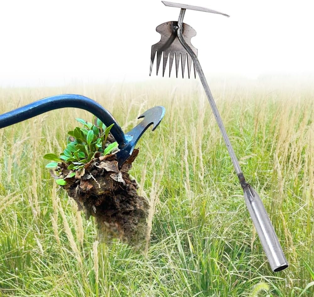Cyinyin 2024 Upgrade Weeding Artifact Uprooting Weeding Tool, Premium ...