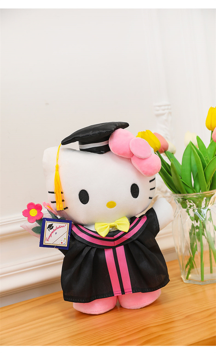 Cyinyin 2025 Hello Kitty Graduation Plush Stuffed Animals, 13.8 Inch ...