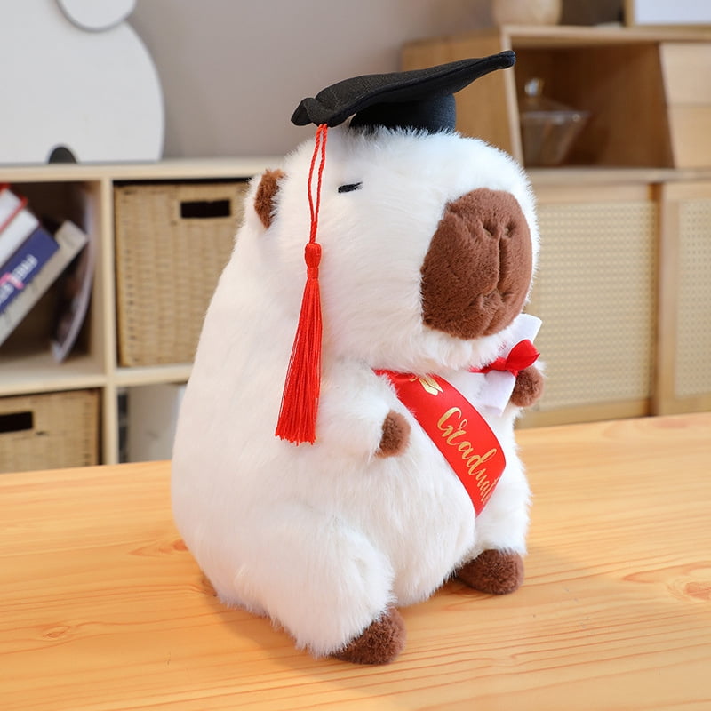 Cyinyin White Capybara Graduation Plush for Her Him, Class of 2025 ...