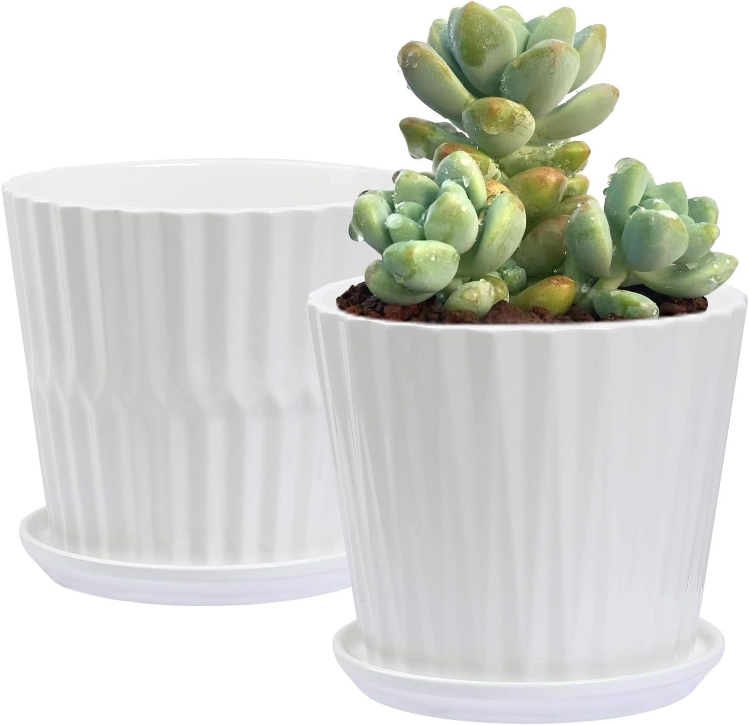 Cylinder Ceramic Planters with Connected Saucer, Pots for Succuelnt and ...