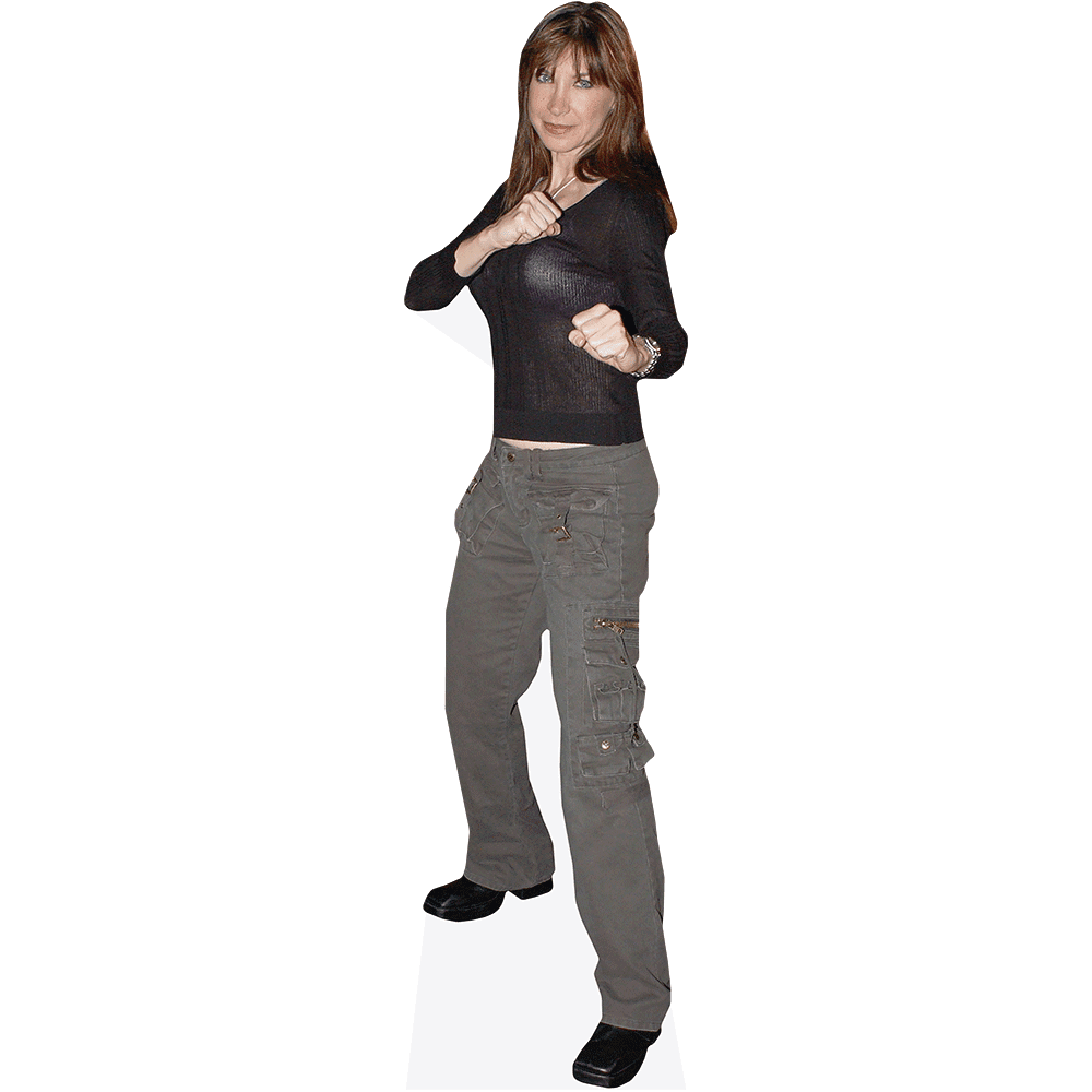 Cynthia Rothrock (Karate) Mini Cardboard Cutout Standee - Walmart.com