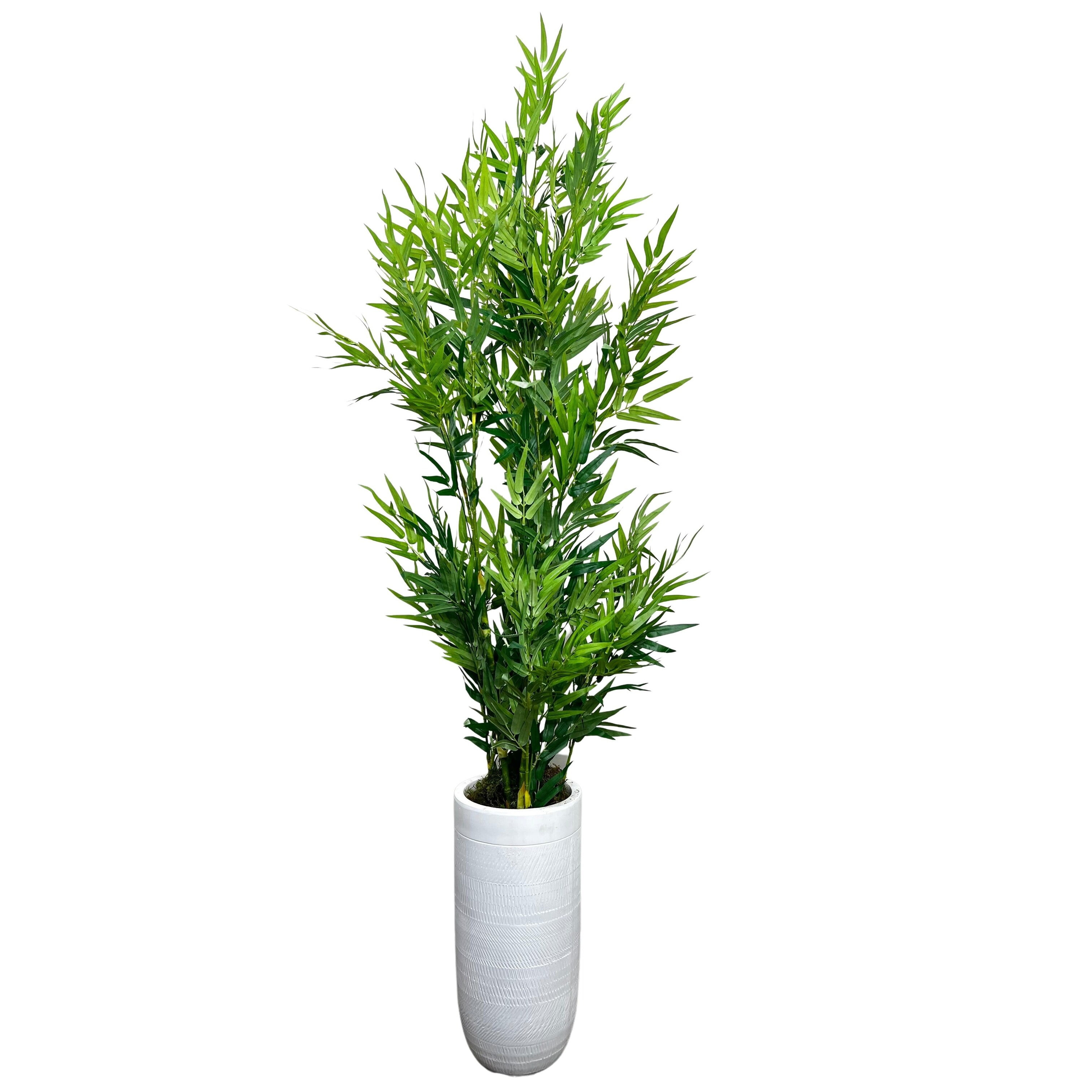 Cypress & Alabaster 6.5' Artificial Bamboo Plant with White Designer ...