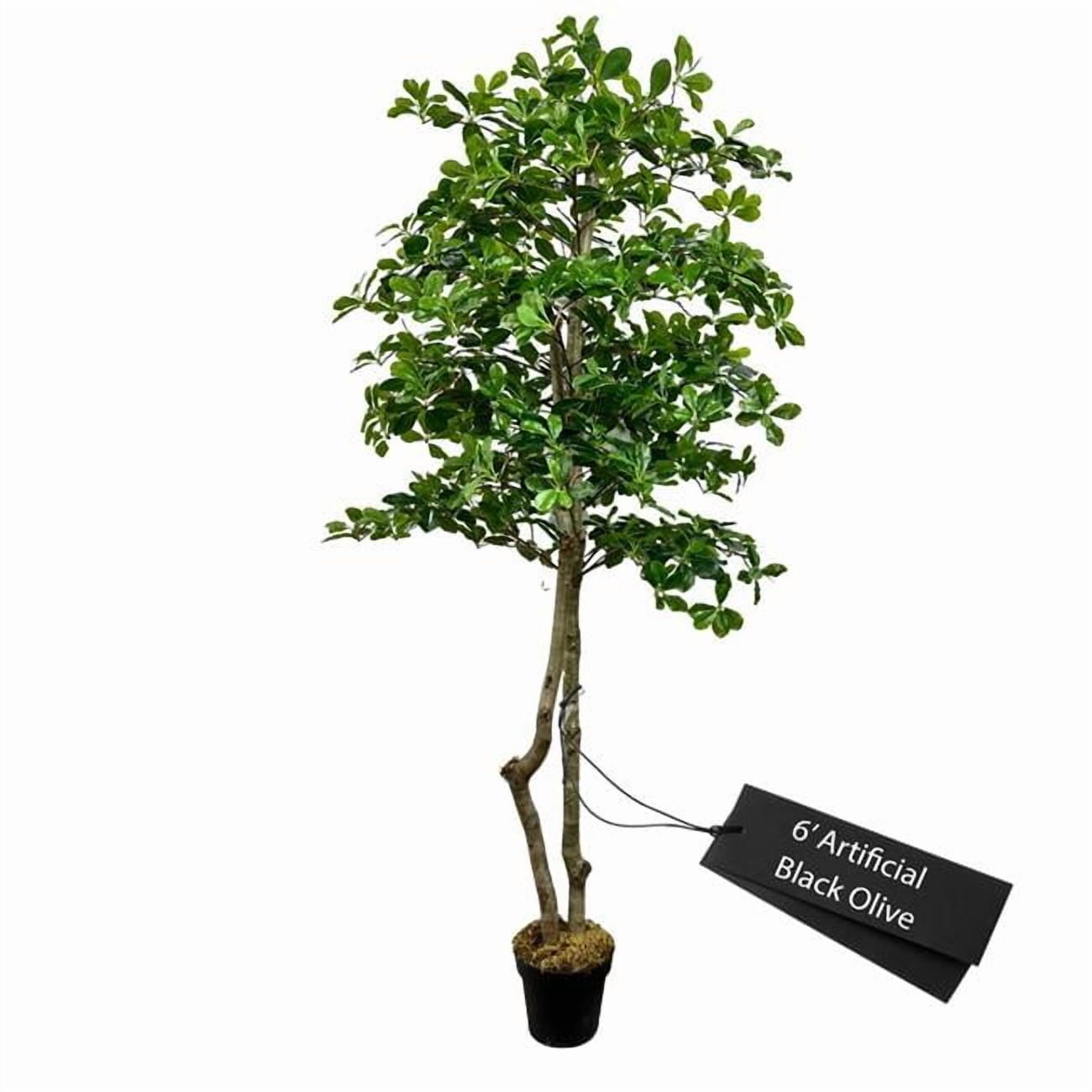 Cypress & Alabaster Handmade 6' Artificial Black Olive Tree In Home ...