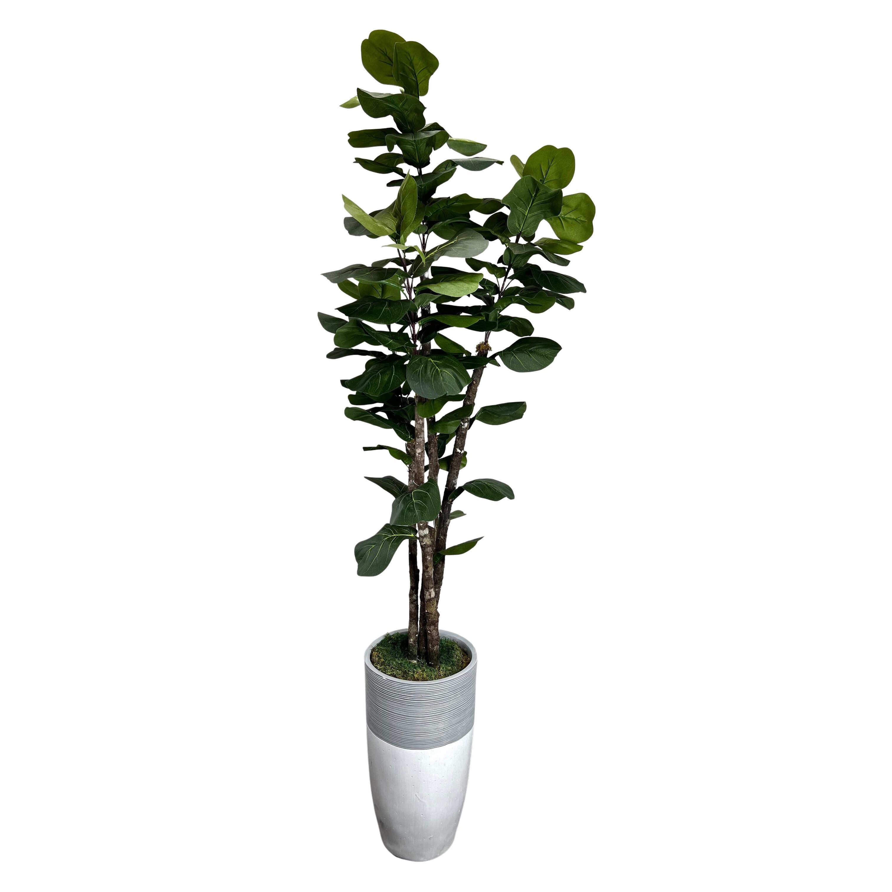 Cypress & Alabaster Handmade 7' Artificial Fig Tree Deluxe in Elegant ...