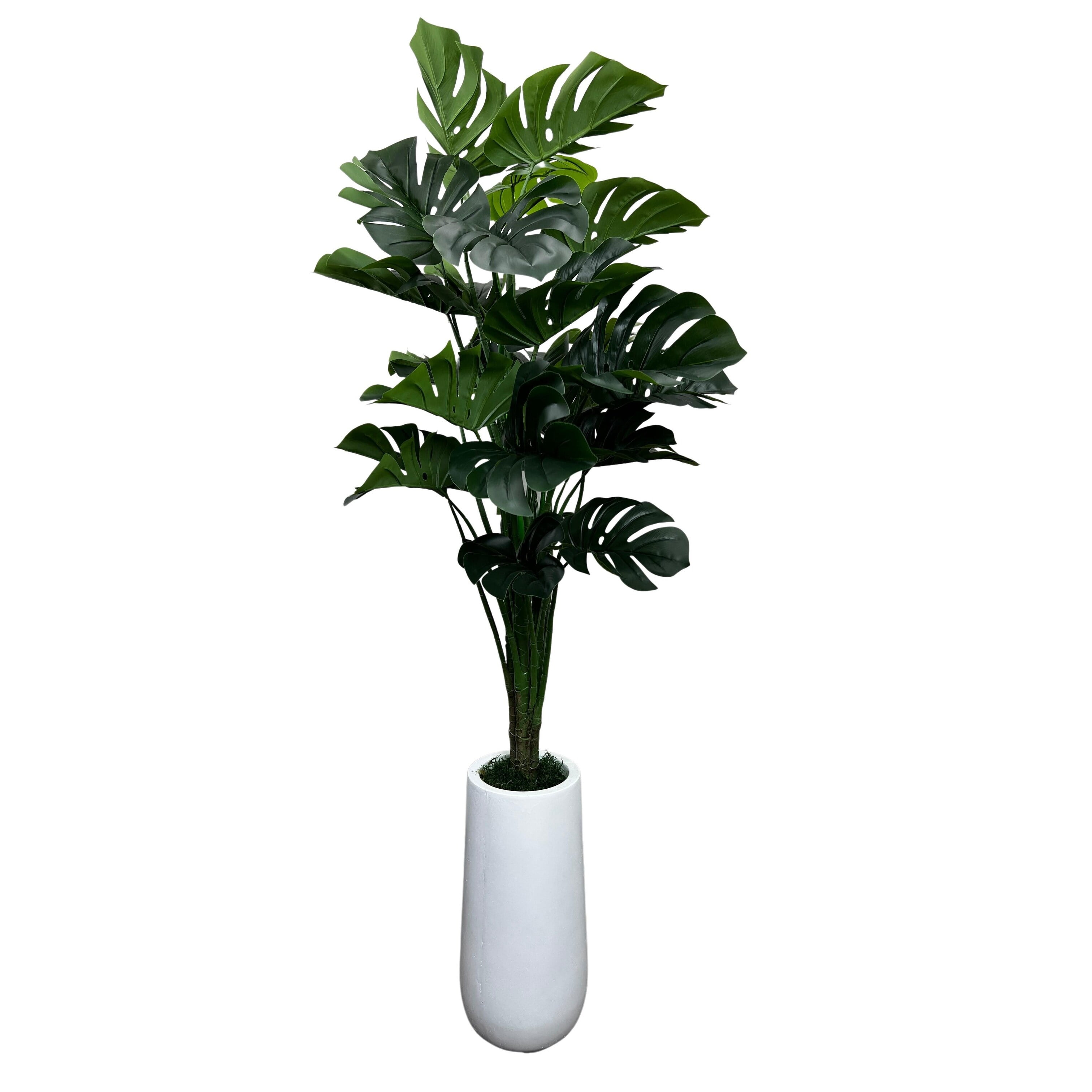 Cypress & Alabaster Tropical 5' Artificial Monstera Plant in Elegant ...