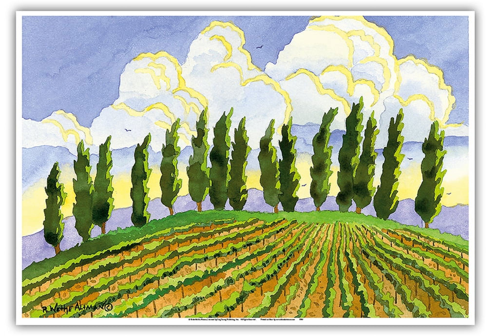 Cypress in the Clouds - Tuscany Italy - Italian Vineyards - From an ...