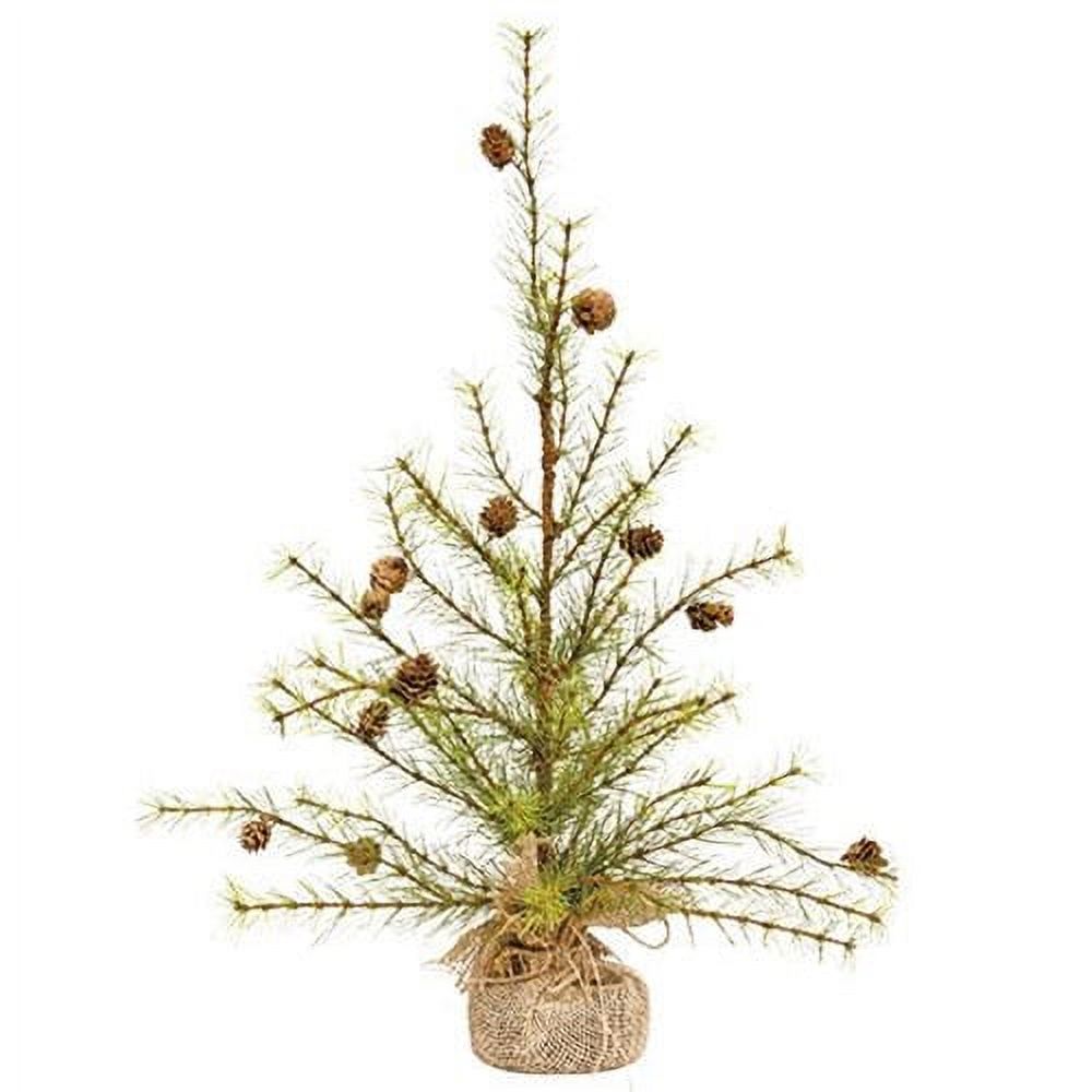 Cypress Pine Tree
