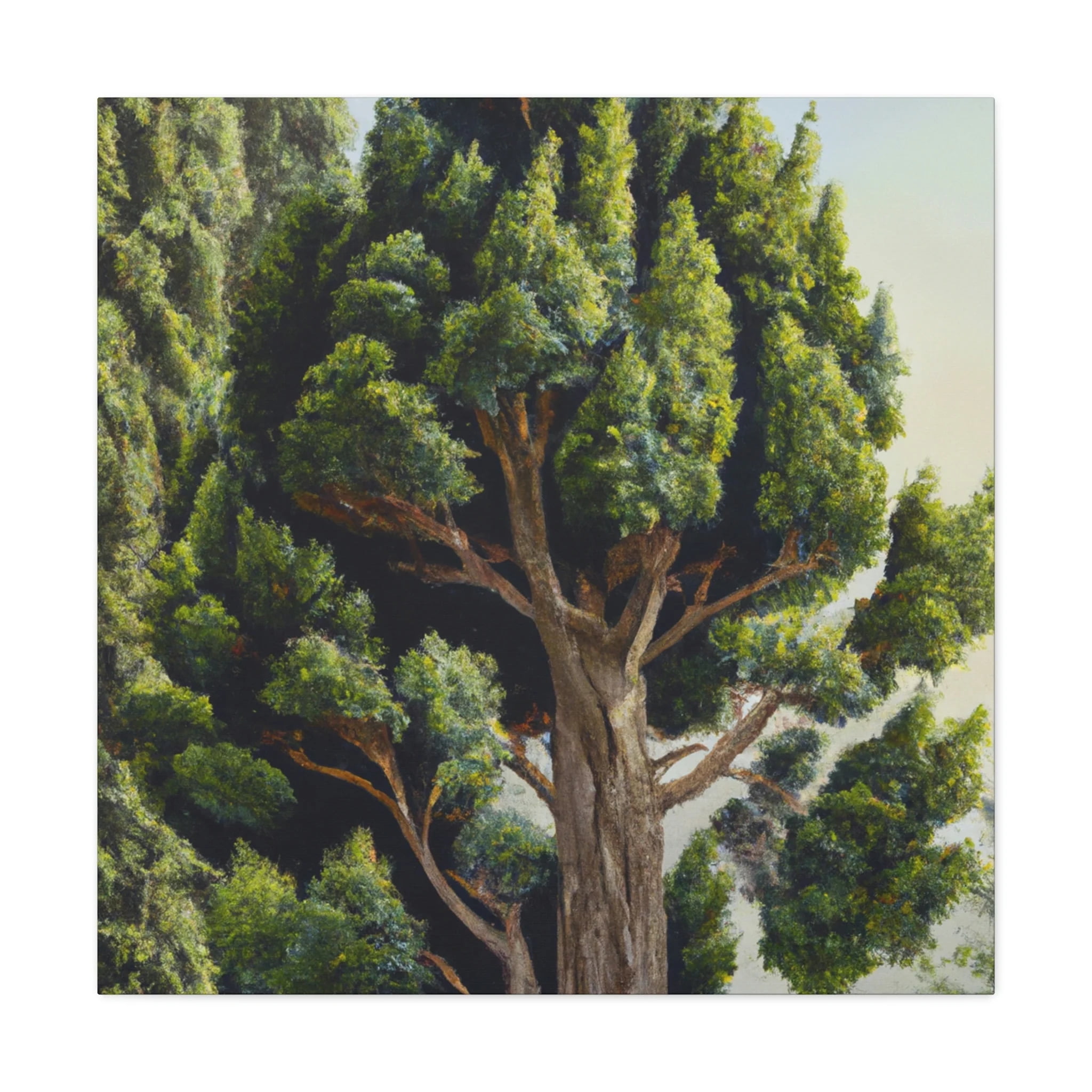 Cypress in Moonlight - Canvas - Walmart Business Supplies