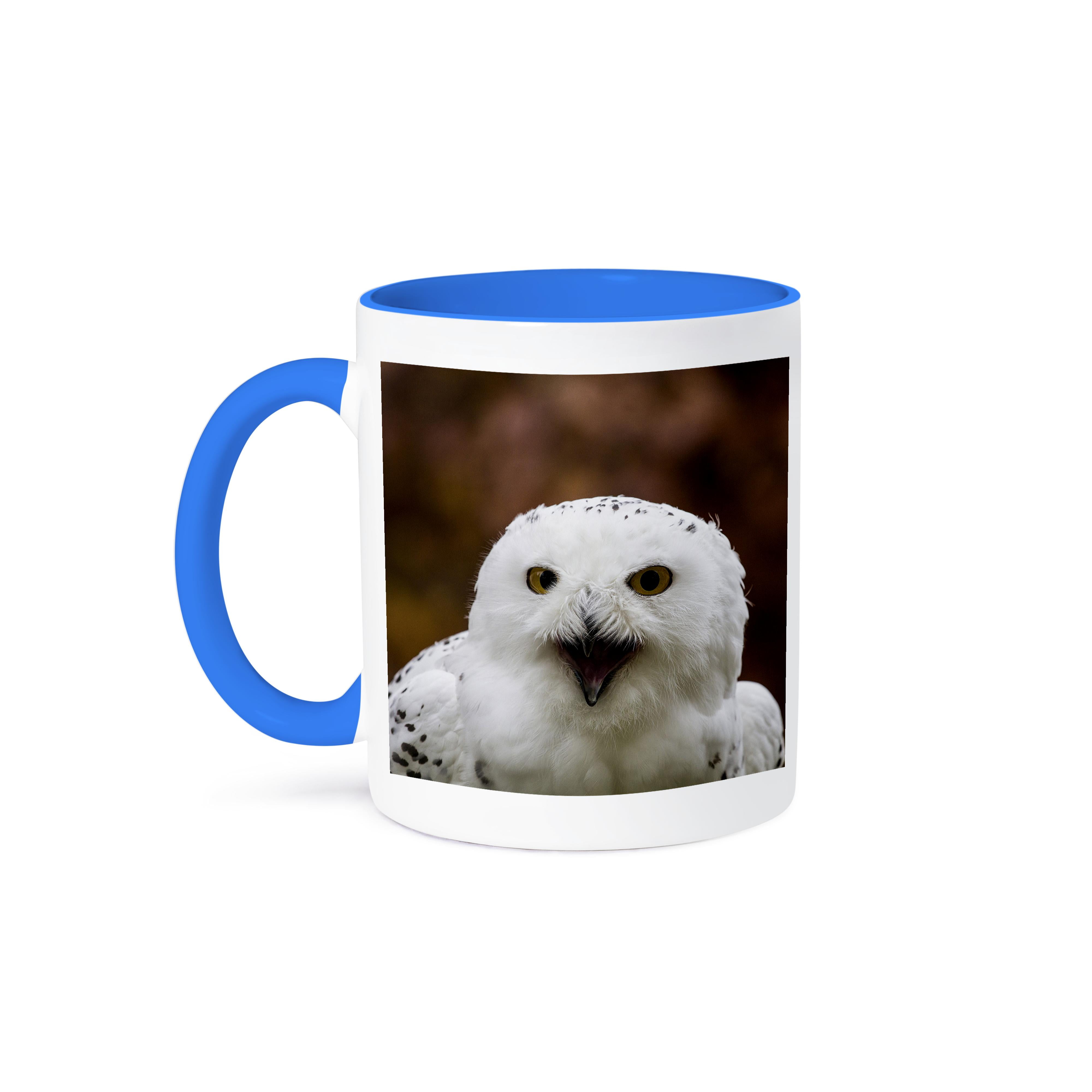 3dRose, Czech Republic, Liberec, Sychrov. Snowy Owl. Castle of Sychrov ...