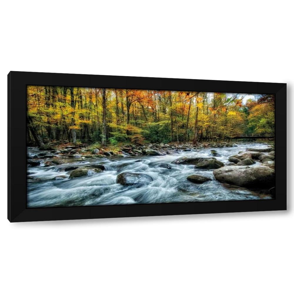 D. Burt 24x14 Black Modern Wood Framed Wall Art Titled - Painted Autumn ...