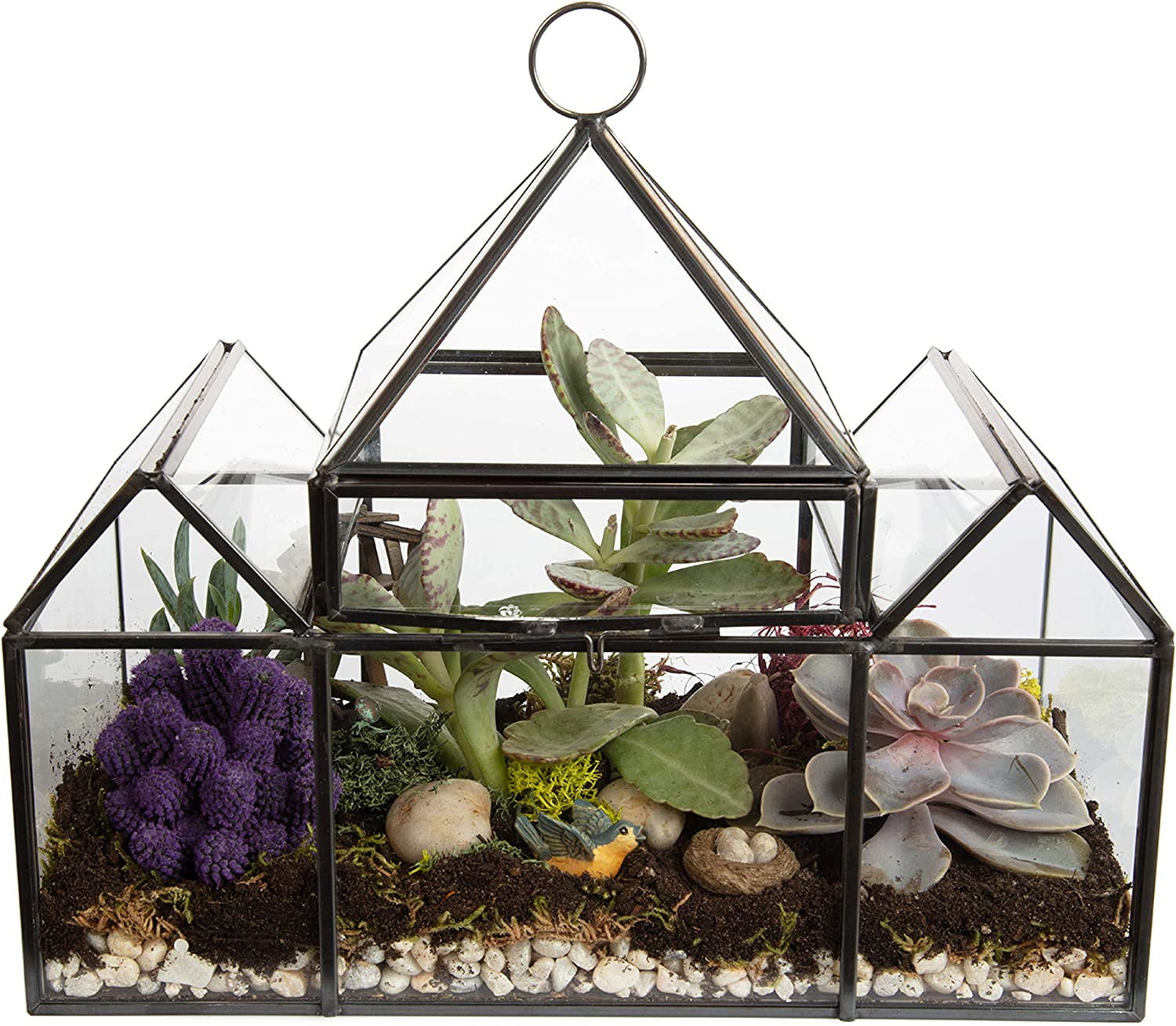 Deco Glass DIY Terrarium - Castle Shaped, Indoor Gardening Decor ...