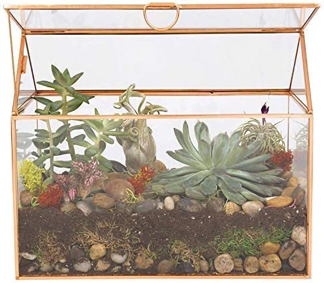 Deco Glass DIY Terrarium, Large House Design for Succulent & Air Plant ...