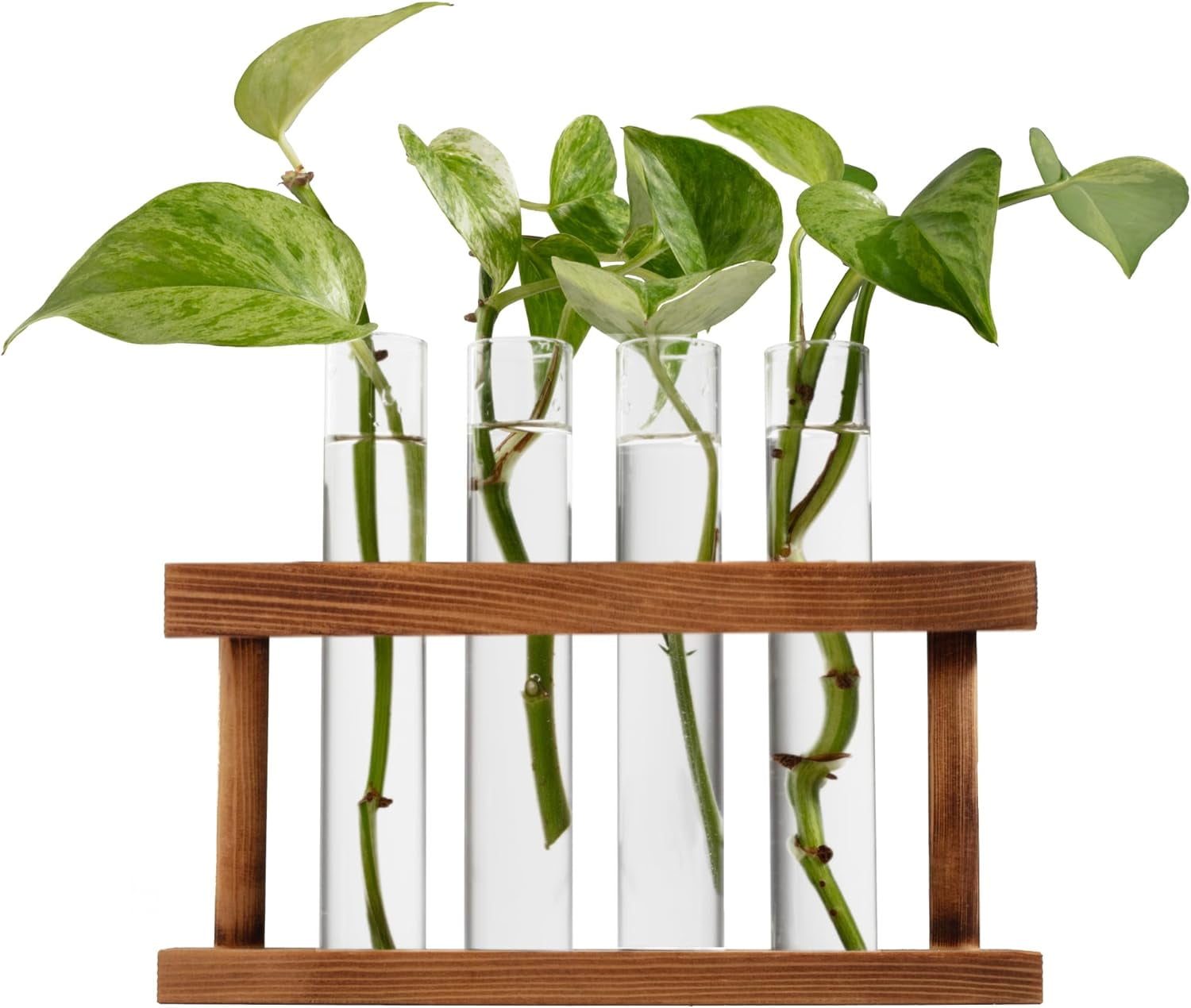 D'Eco Glass Plant Propagation Station (Set of 4 Tubes w Wooden Display ...