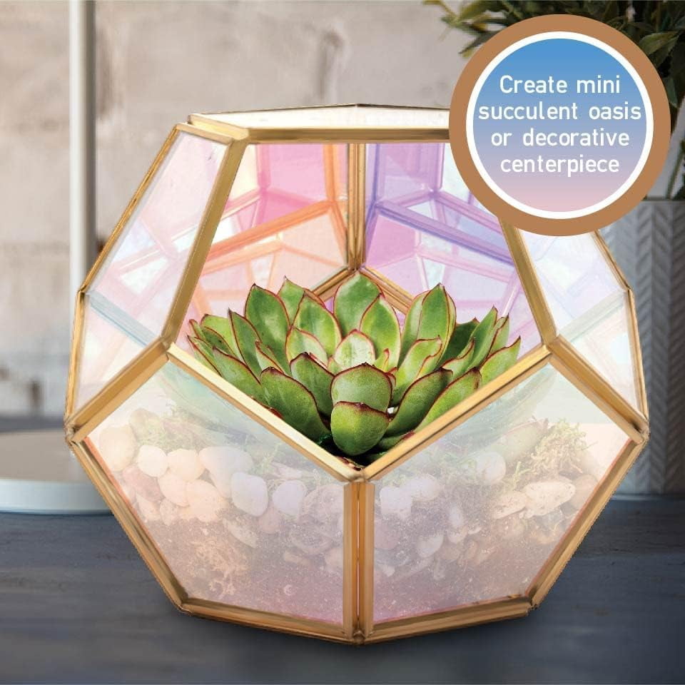 D'Eco Iridescent Glass Geometric Plant Terrarium (7x7x6) - Tabletop ...