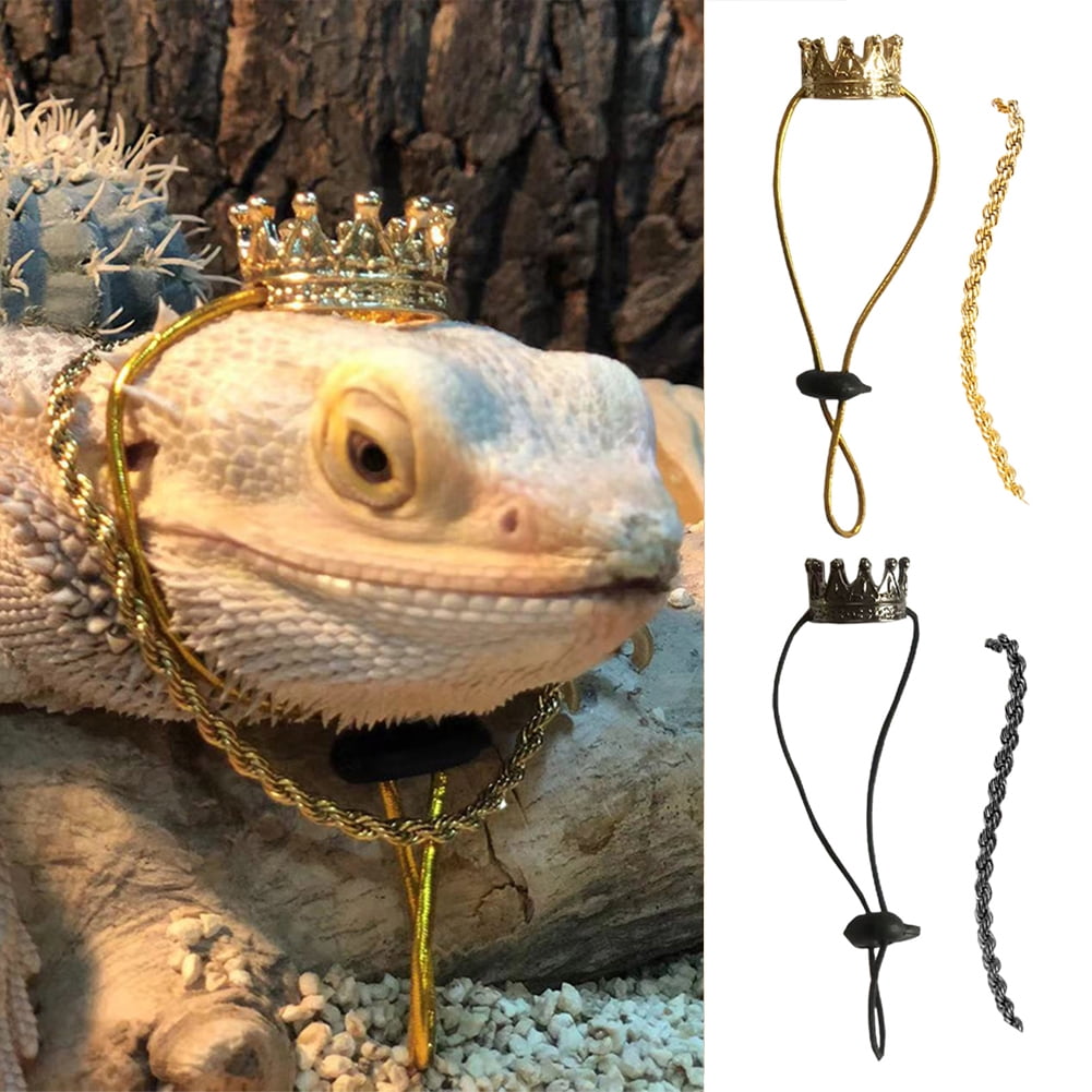 D-GROEE Lizard Crown Necklace Set Bearded Dragon Crown and Chain Alloy ...