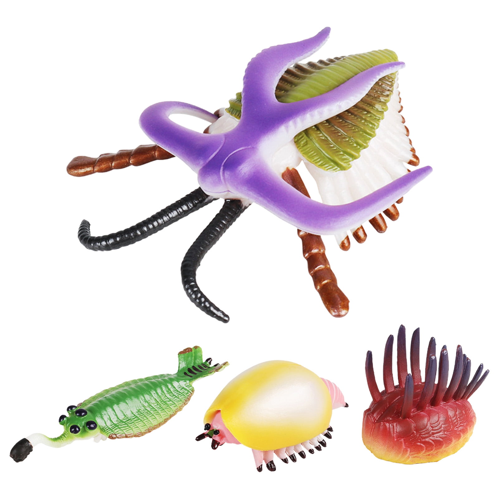 D GROEE Trilobite Figurine Cambrian Period Ocean Animals Clear Texture ...