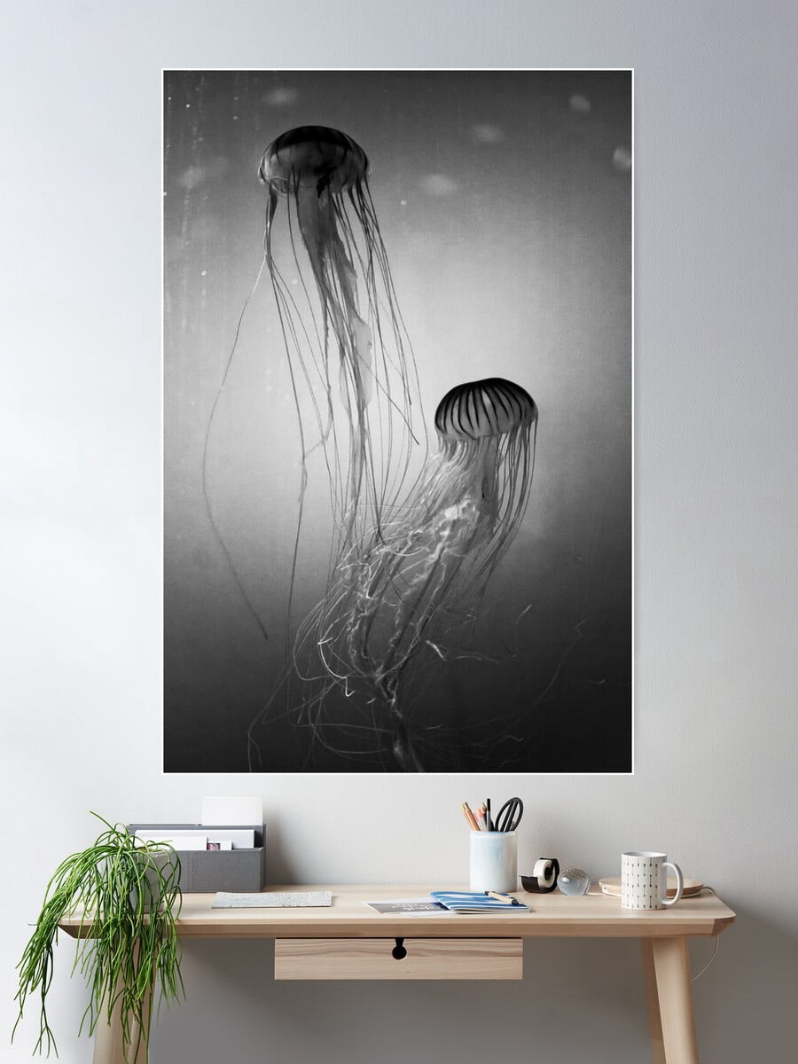 D Lawson Photography - Jellyfish Poster Wall Art, Modern Wall Decor For ...