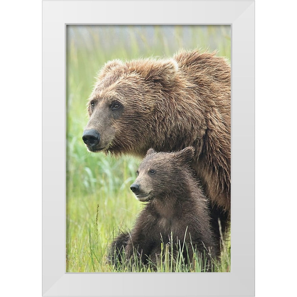 D Lester, Linda 17x24 White Modern Wood Framed Museum Art Print Titled ...