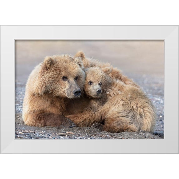 D Lester, Linda 18x13 White Modern Wood Framed Museum Art Print Titled ...