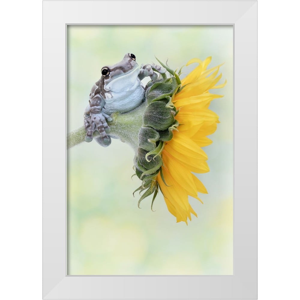 D Lester, Linda 23x32 White Modern Wood Framed Museum Art Print Titled ...