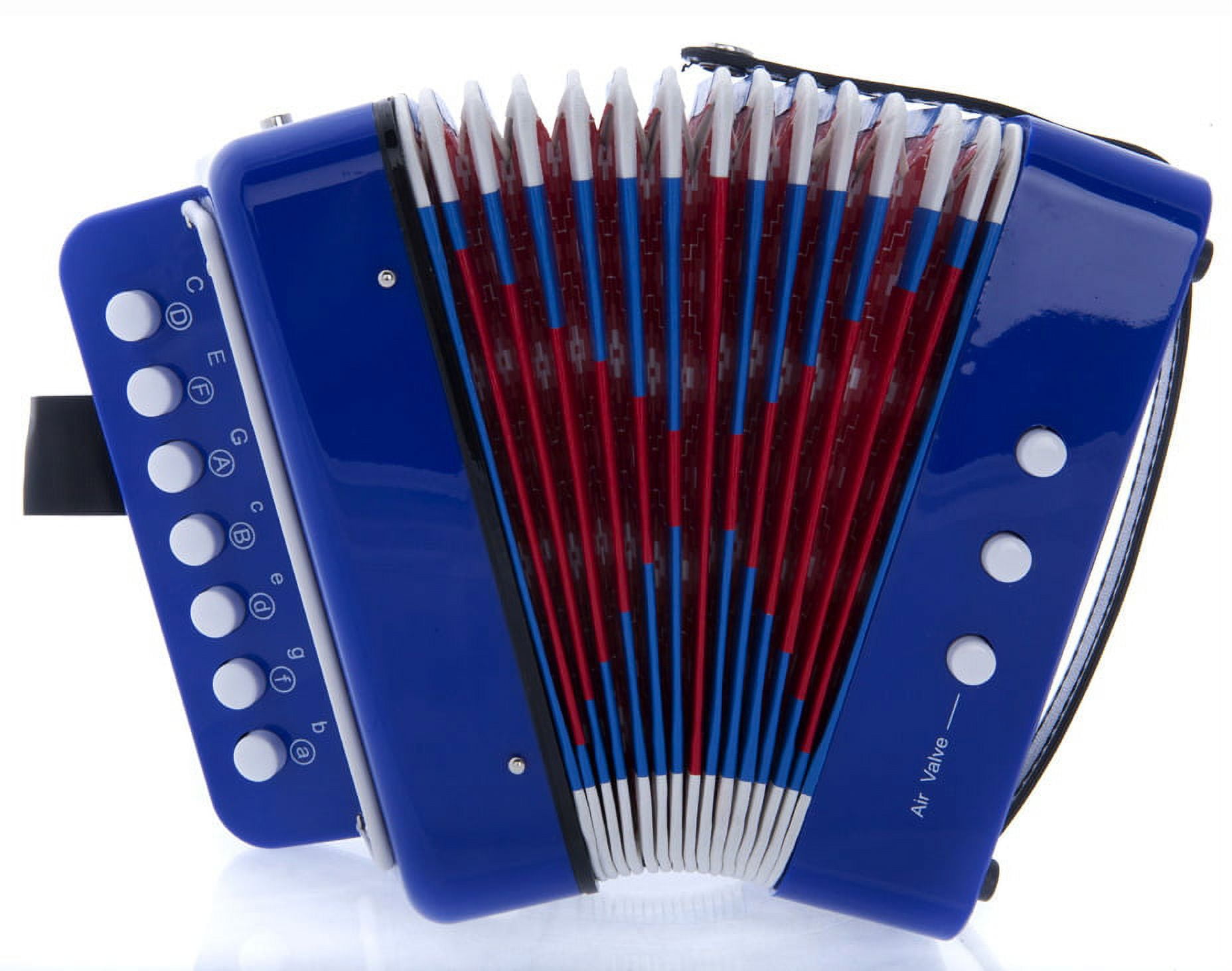 D’Luca Child Button Accordion Blue - Walmart.com