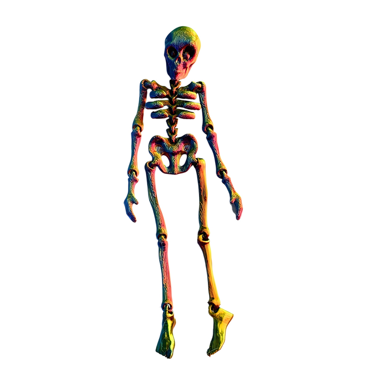 D Poseable Skeleton Fridge Magnet Halloween Articulated Skeleton ...