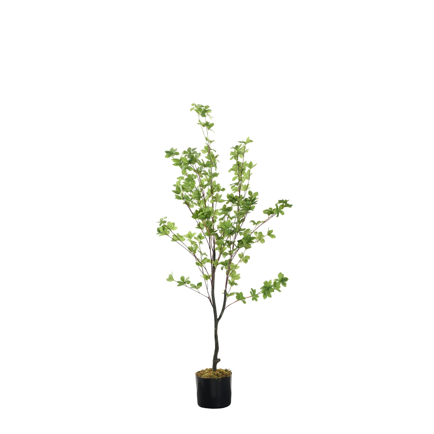 D&W Silks 54" Douban Tree in Black Planter Pot - Walmart.com