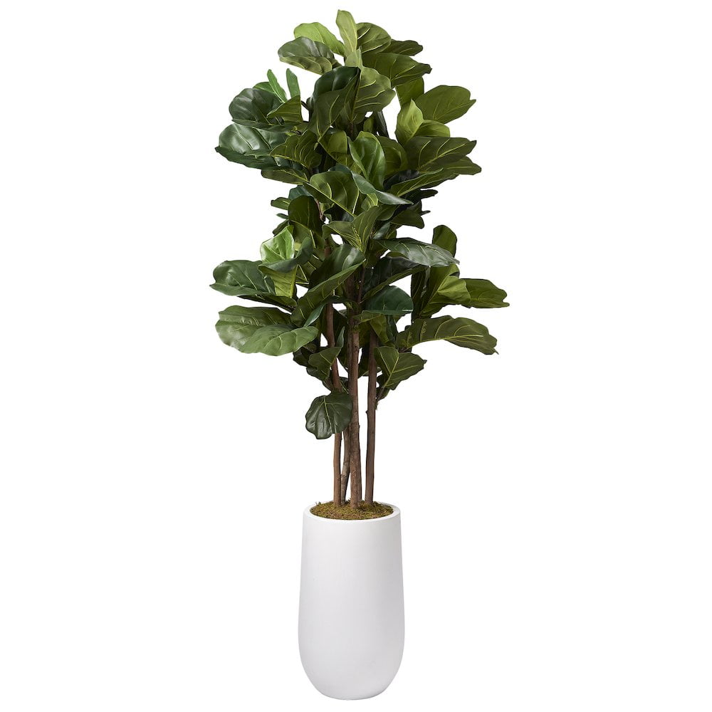 D & W Silks 6.5' Brazilian Fiddle Leaf Fig Tree in Tall Round White ...