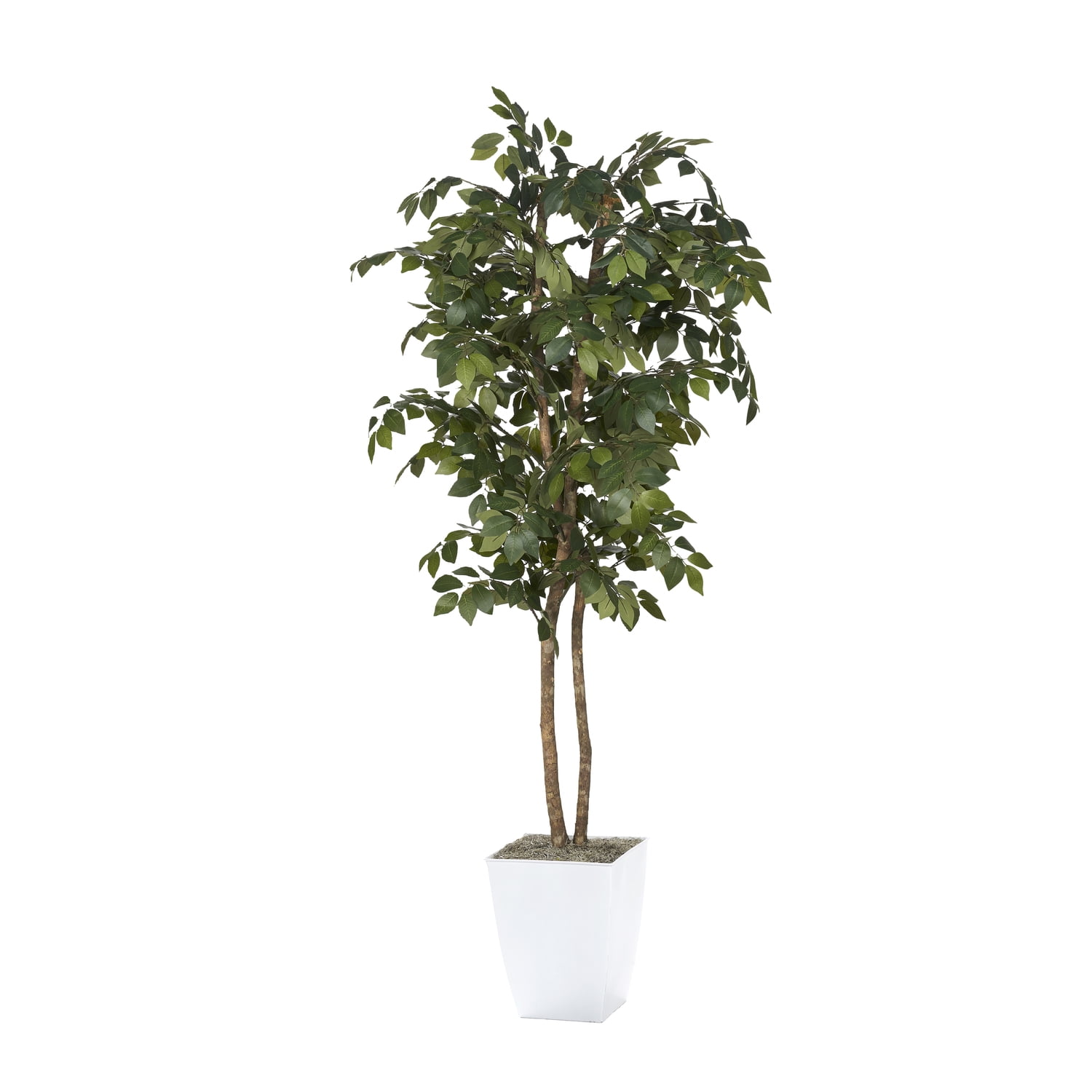 D&W Silks 6' Sakaki Tree in White Metal Planter - Walmart.com