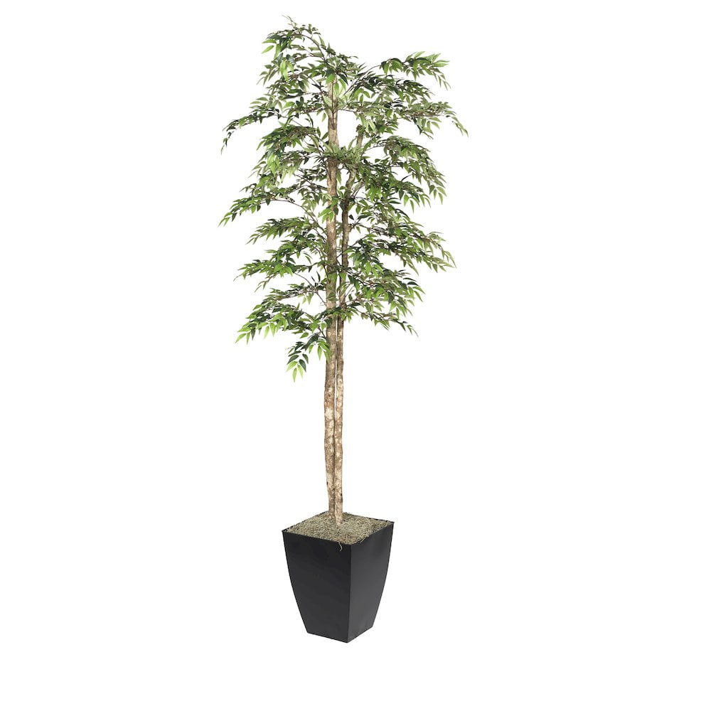 D & W Silks 7' Ruscus Tree in Black Metal Planter - Walmart.com