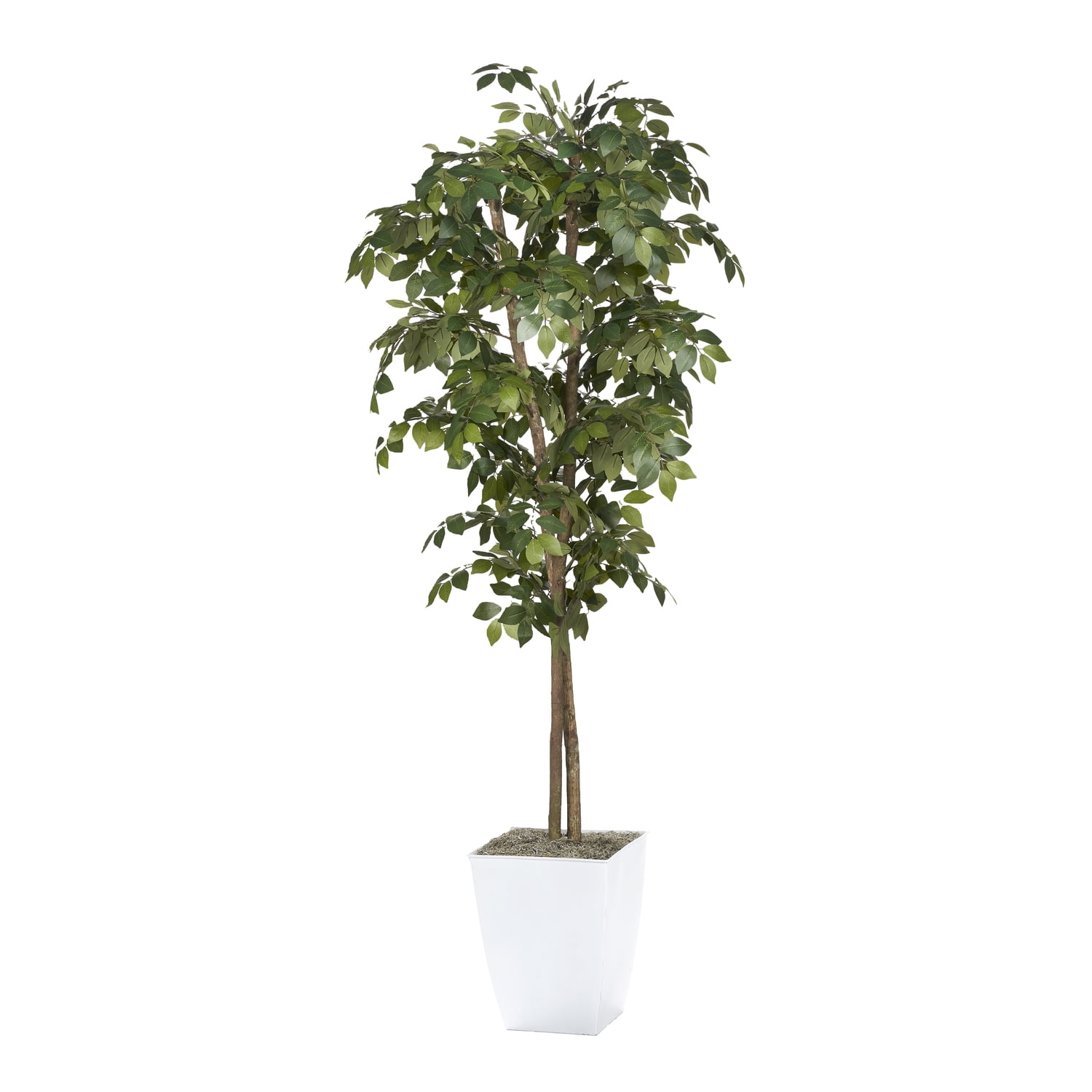 D&W Silks 7' Sakaki Tree in White Metal Planter - Walmart.com