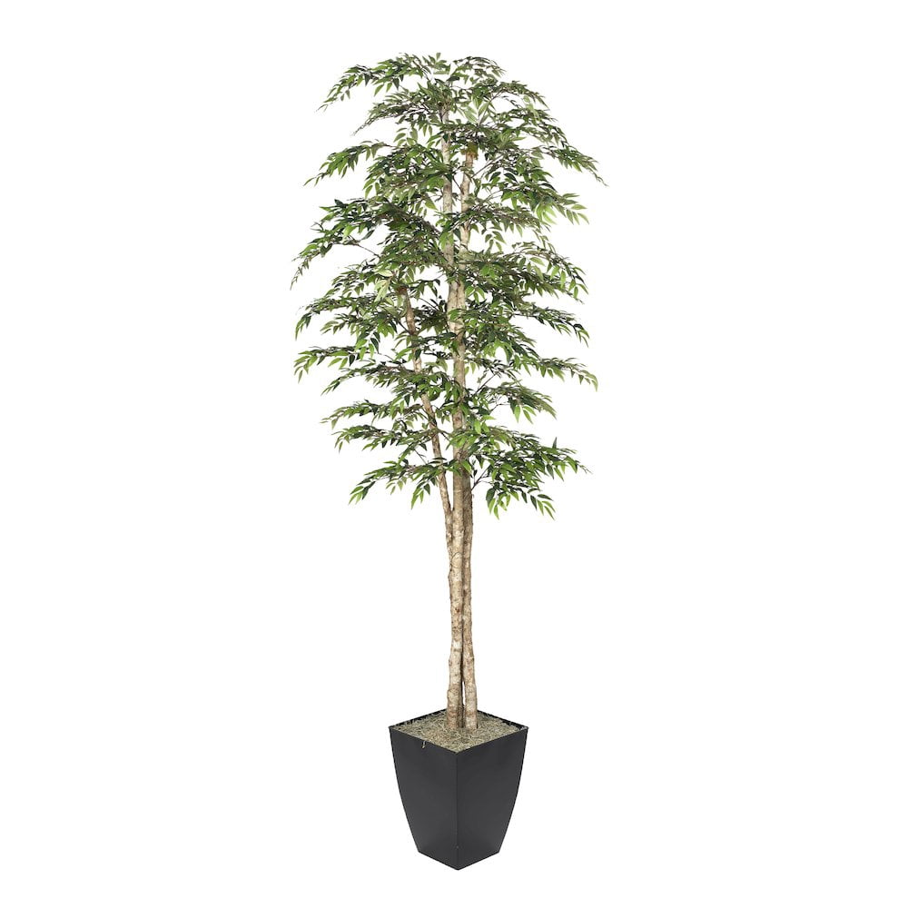 D & W Silks 8' Ruscus Tree in Black Metal Planter - Walmart.com