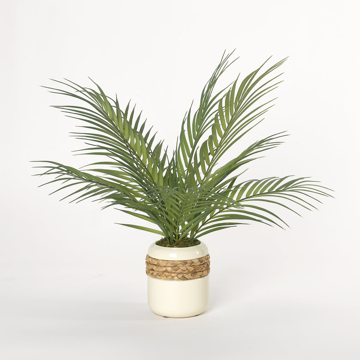 D&W Silks Areca Palm Fronds in Cream Ceramic Planter - Walmart.com