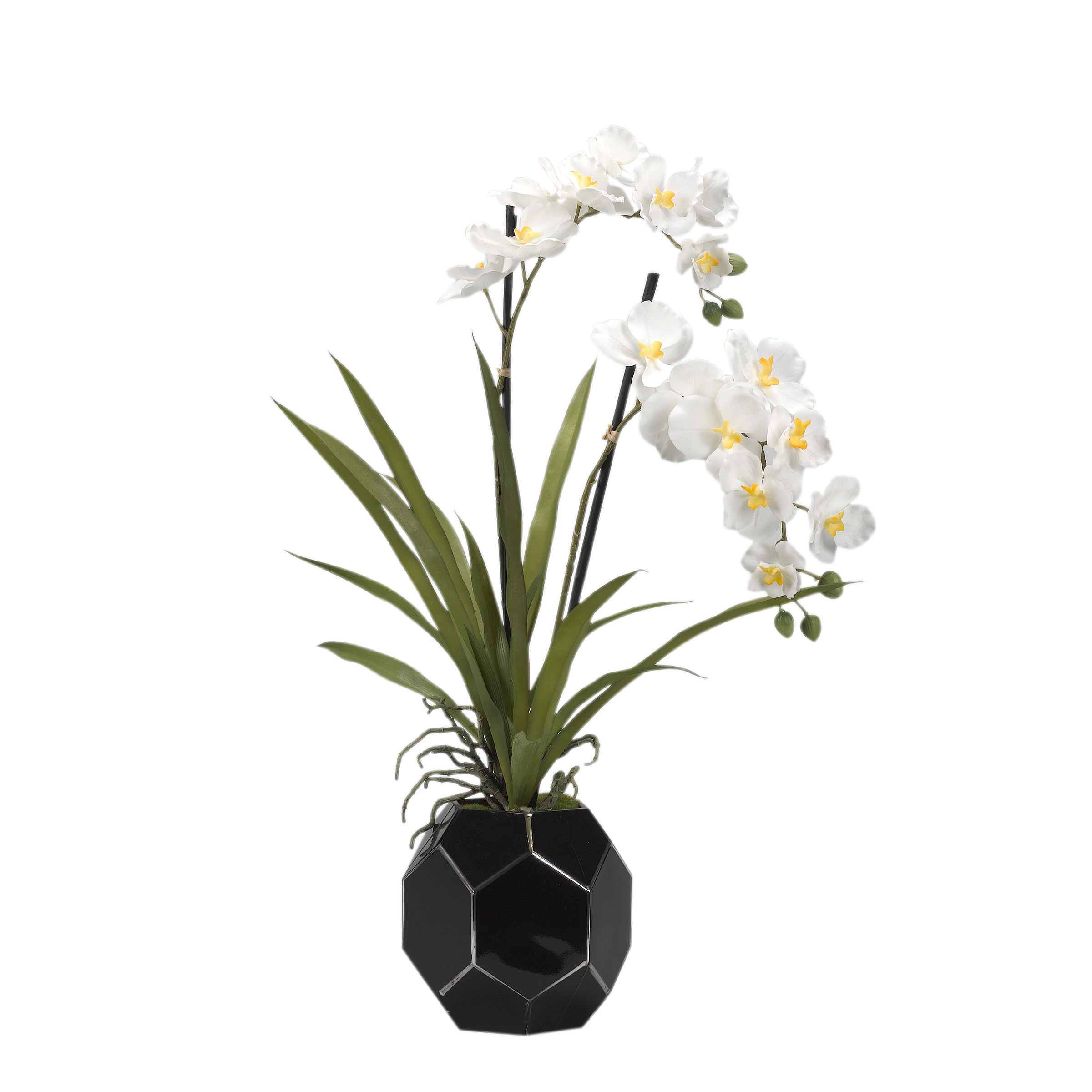 D&W Silks Cream Vanda Orchids In Black Glass Bowl - Walmart.com