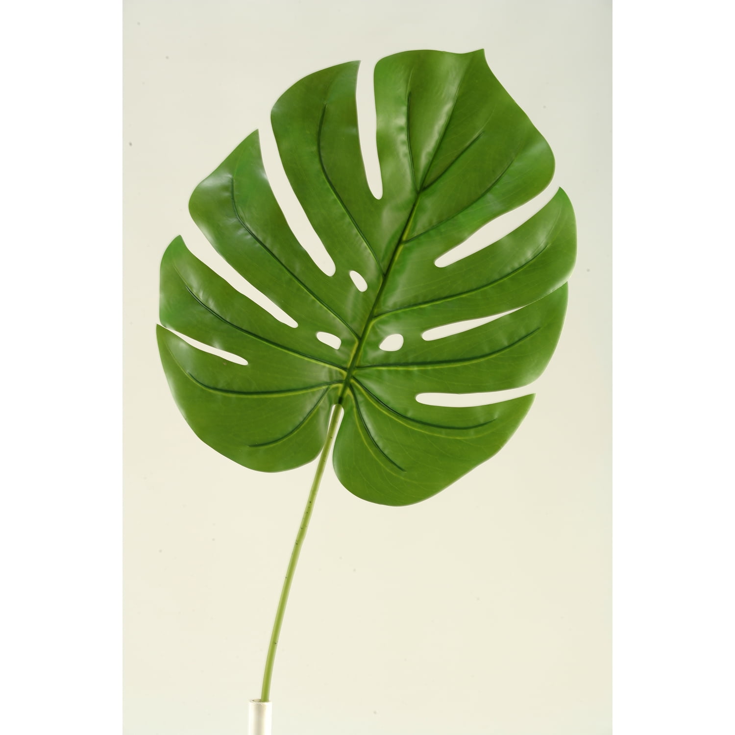 D&W Silks Jumbo Split Leaf Philo - Walmart.com