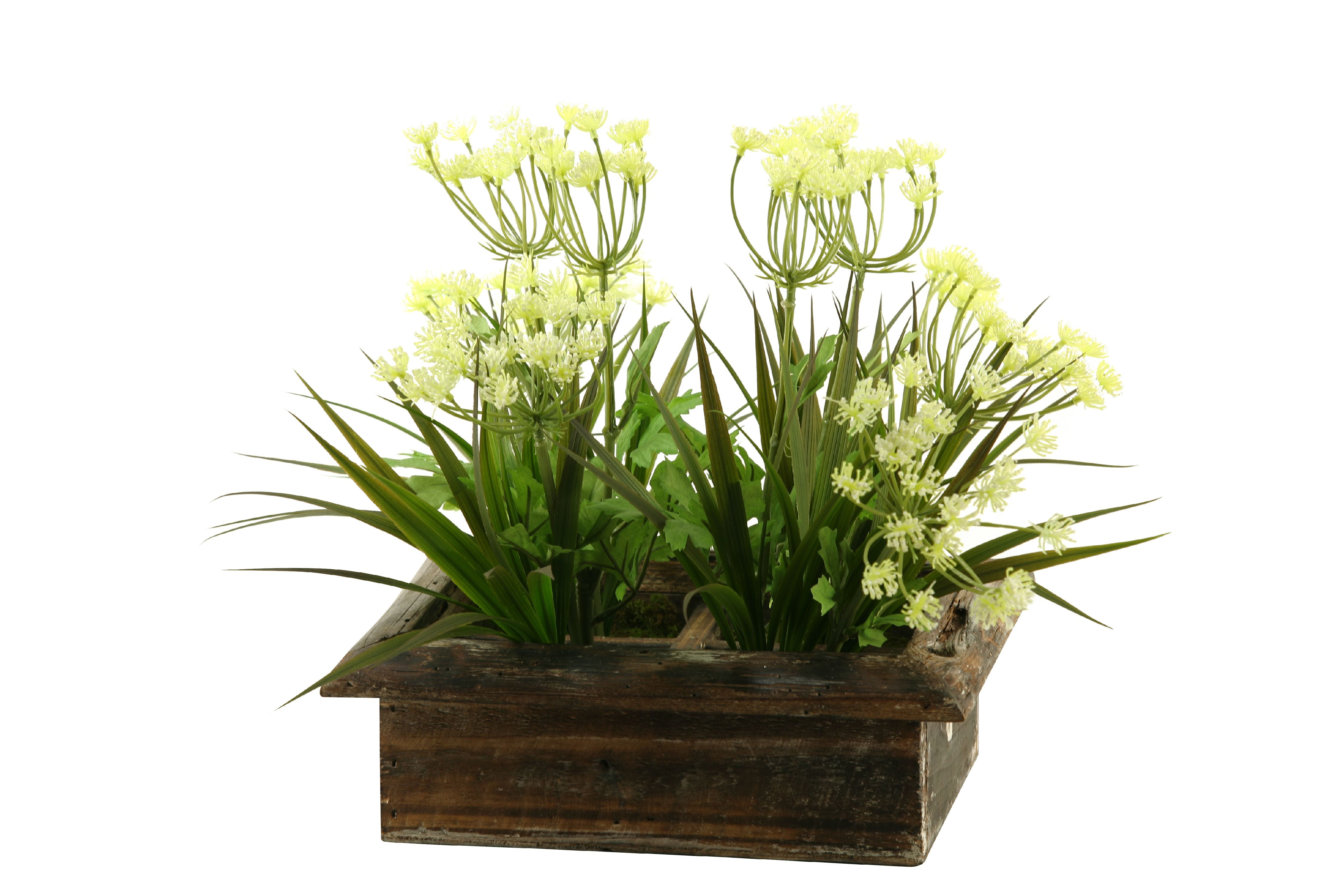 D&W Silks Queen Anne's Lace and Grass in Square Wood Planter Box ...