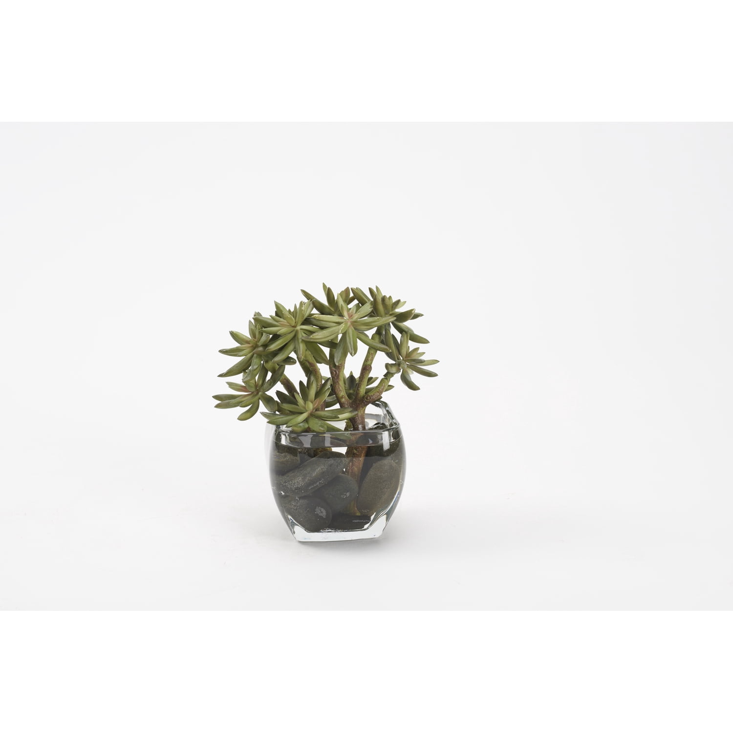 D&W Silks Succulent Spray in Glass Cube - Walmart Business Supplies