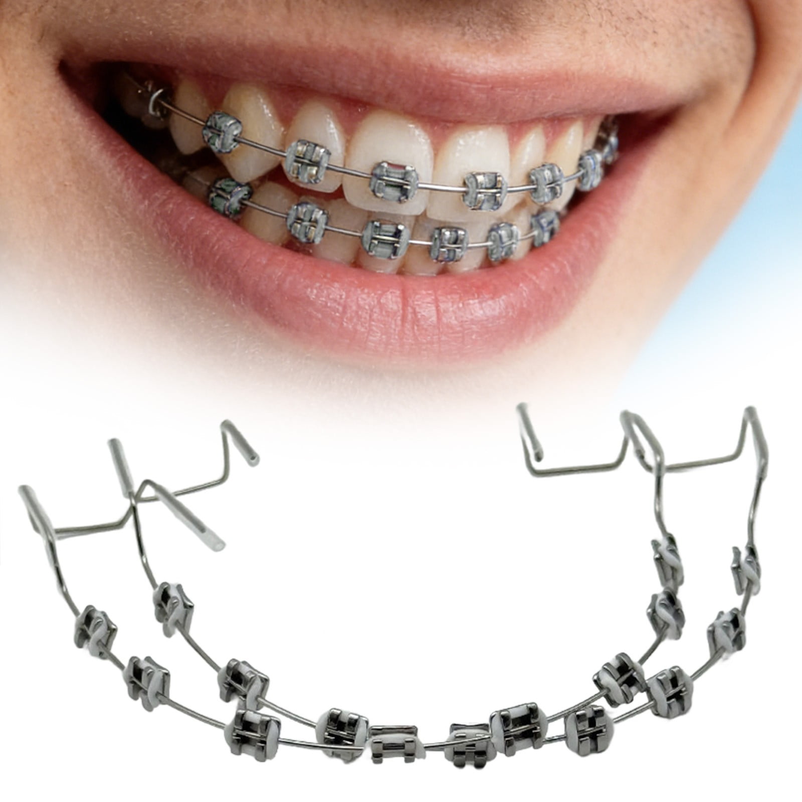 Dénturés-Colored Braces Educational Model, Removable Teeth Set ...