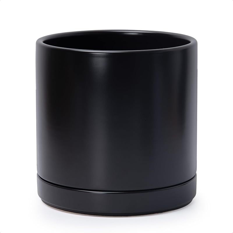 D'vine Dev 10 Inch Ceramic Planter Pot with Drainage Hole and Saucer ...