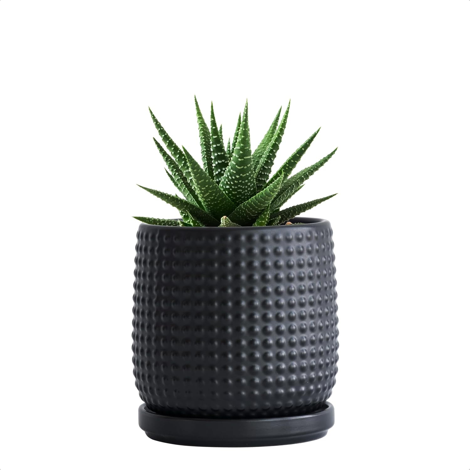 D'vine Dev 4 Inch Ceramic Beaded Stoneware Planter Pot - Flower Pot ...