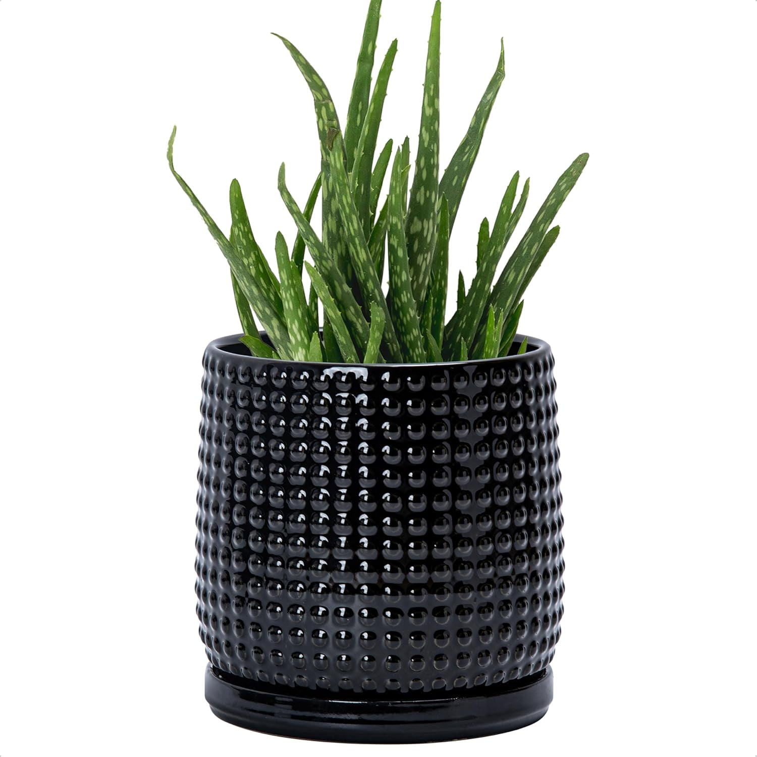 D'vine Dev 6 Inch Ceramic Beaded Stoneware Planter Pot - Flower Pot ...