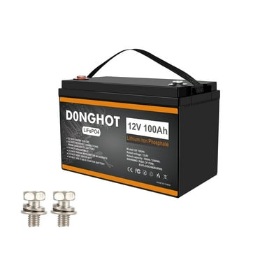 DJLBERMPW 12V 100AH Lithium Battery LiFePO4 Deep Cycle Battery for RV, Marine, Solar - Walmart.com