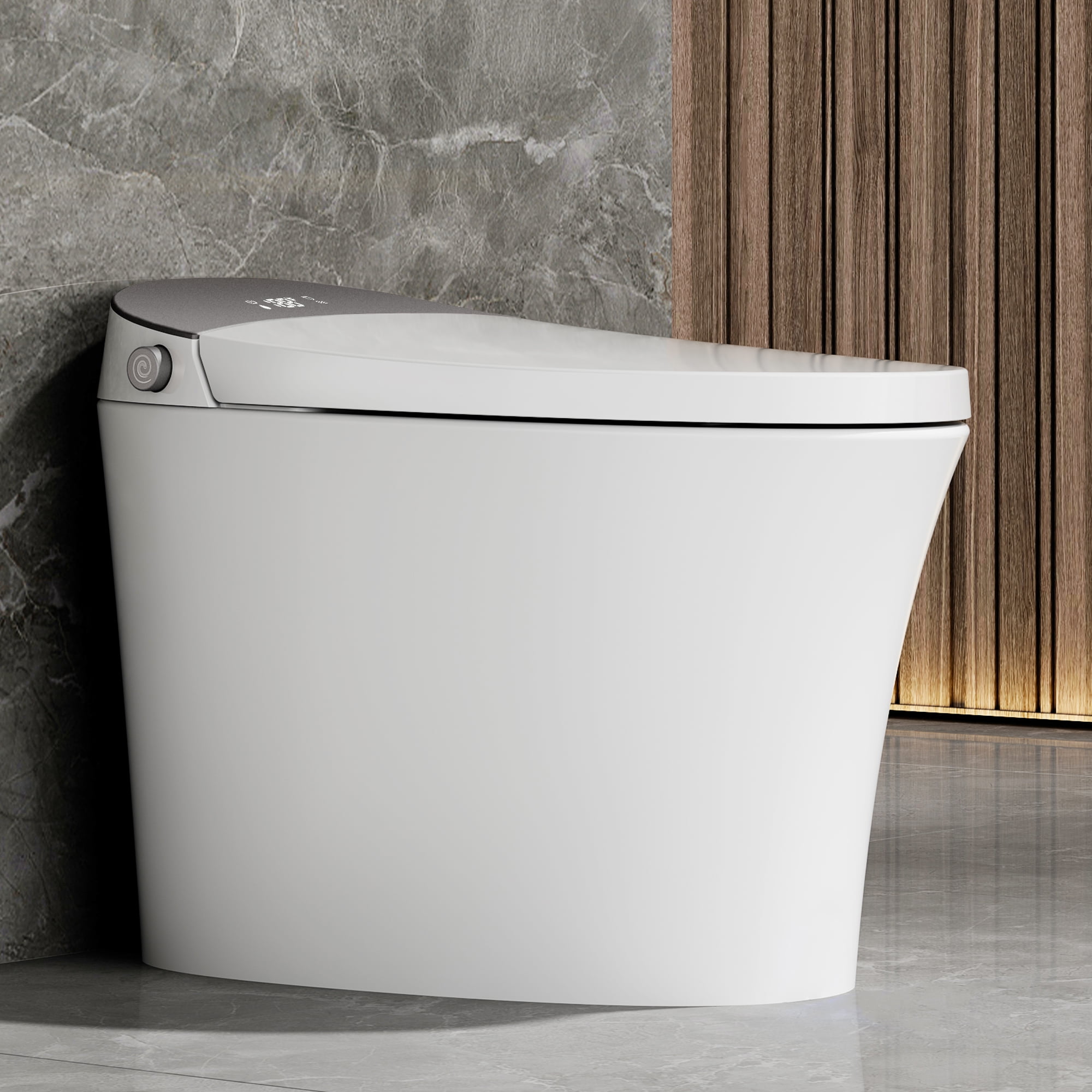 D16-SD ModMakers Tankless Toilet, Adjustable Water Temperature Modern ...