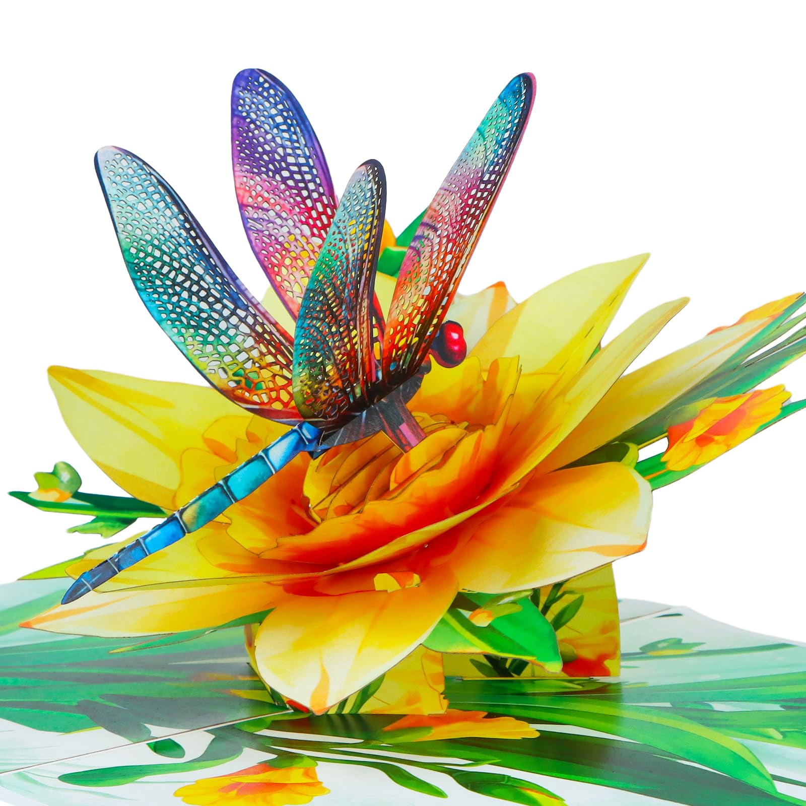 D4DREAM Dragonfly Gifts for Women - SMRDaffodils Flower Dragonfly Pop ...