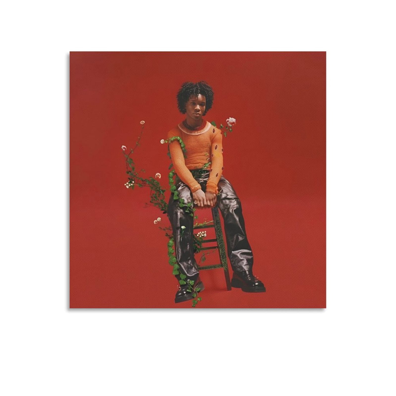 D4vd Posters Songwriter Singer Print Photo Art Painting Canvas Poster ...