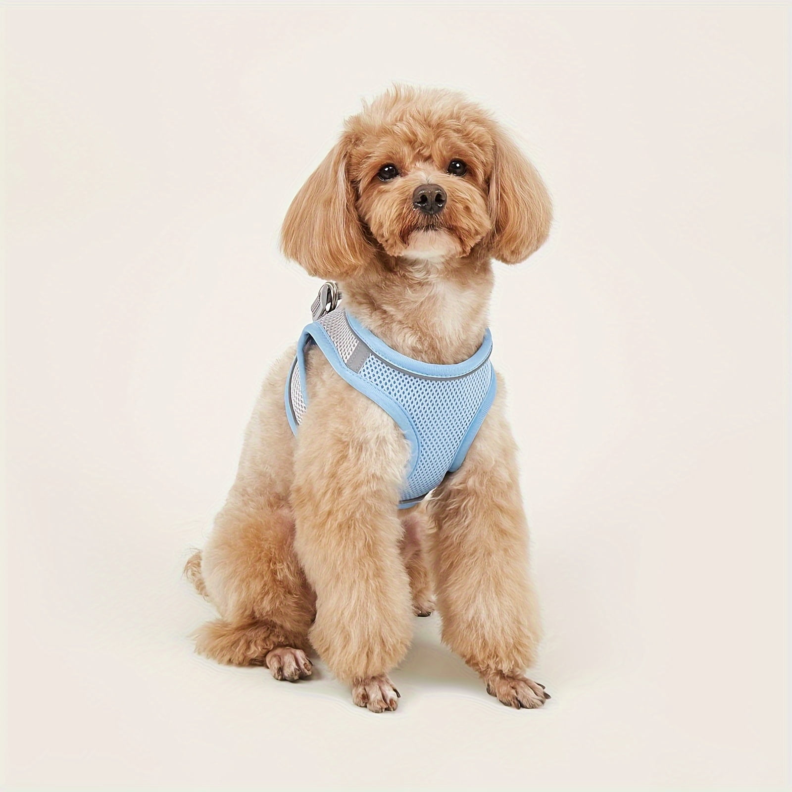 DABEI Reflective Mesh Pet Harness for Small and Medium Dogs ...