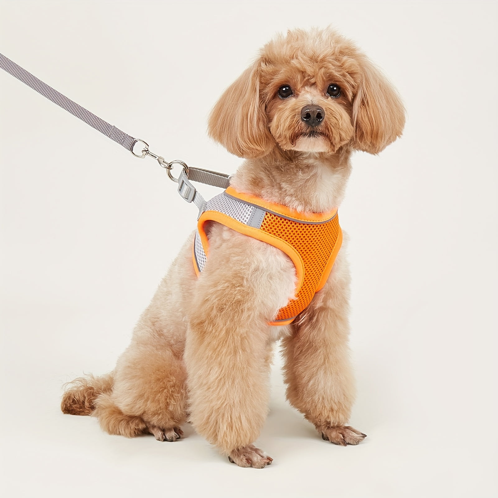 DABEI Reflective Mesh Pet Harness for Small and Medium Dogs ...