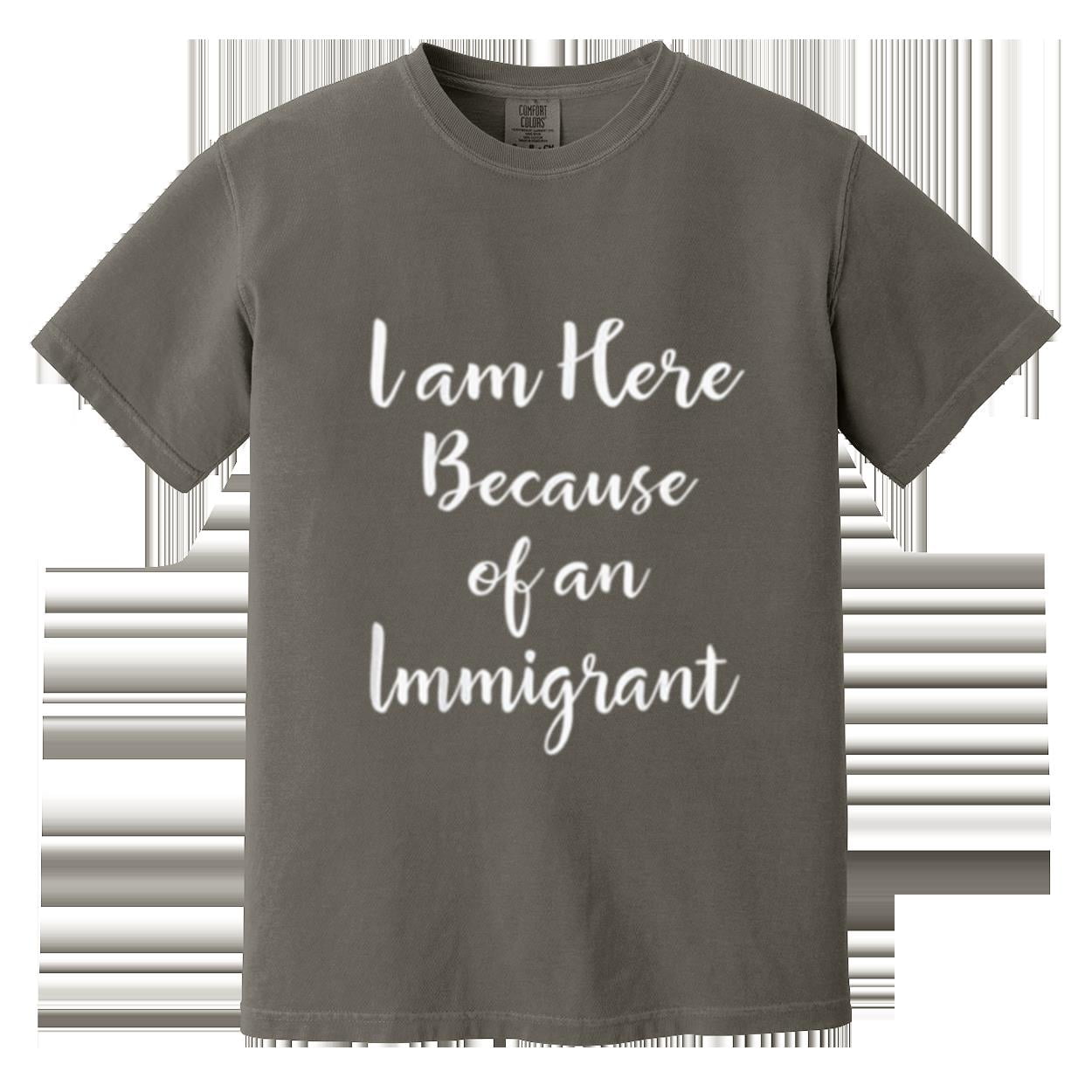 DACA Immigrants Protests March For Equality Graphic Comfort Color T ...